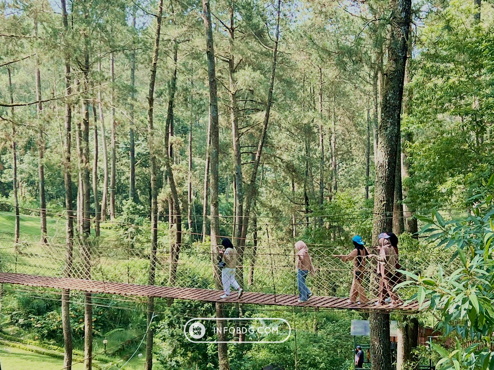 Wood Bridge Hingga Flying Fox, Cara Seru Menikmati Alam di Orchid ...